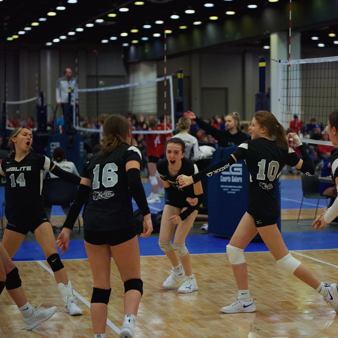 Quick Links - Michigan Elite